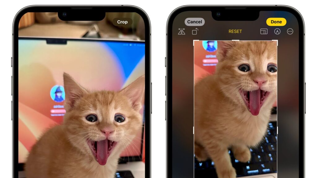 iOS 17: Diese acht neuen Features bekommt die Fotos-App - Apfelpage ...