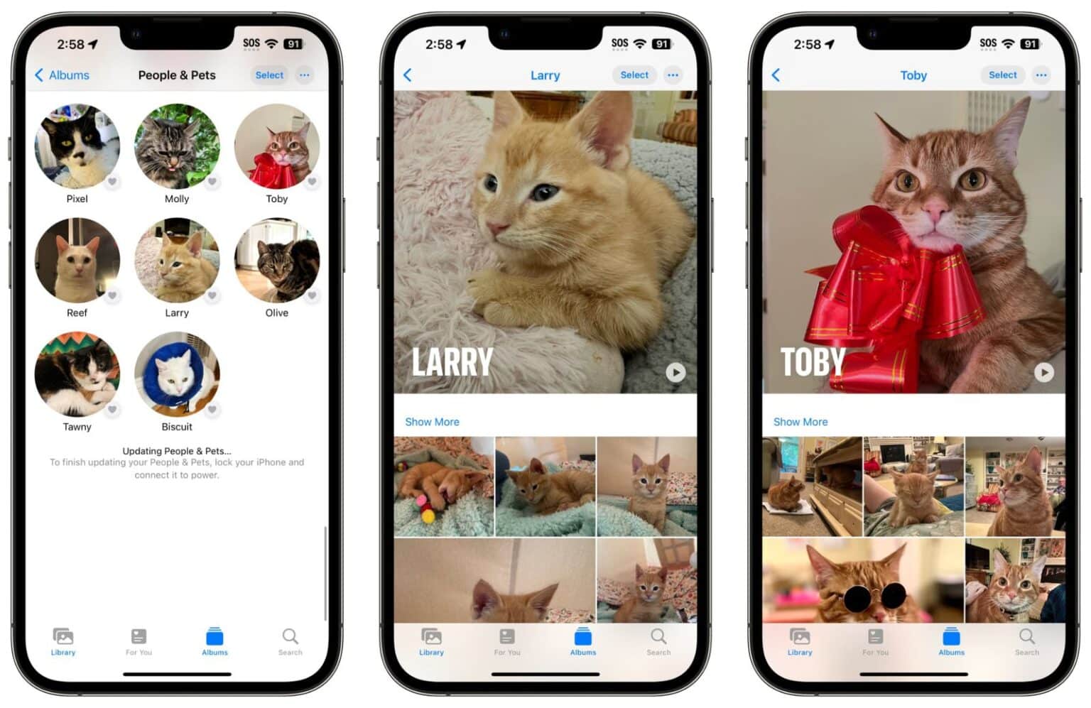 iOS 17: Diese acht neuen Features bekommt die Fotos-App - Apfelpage